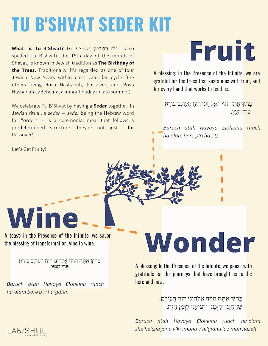 Tu B'Shevat Seder Kit - Lab/Shul
